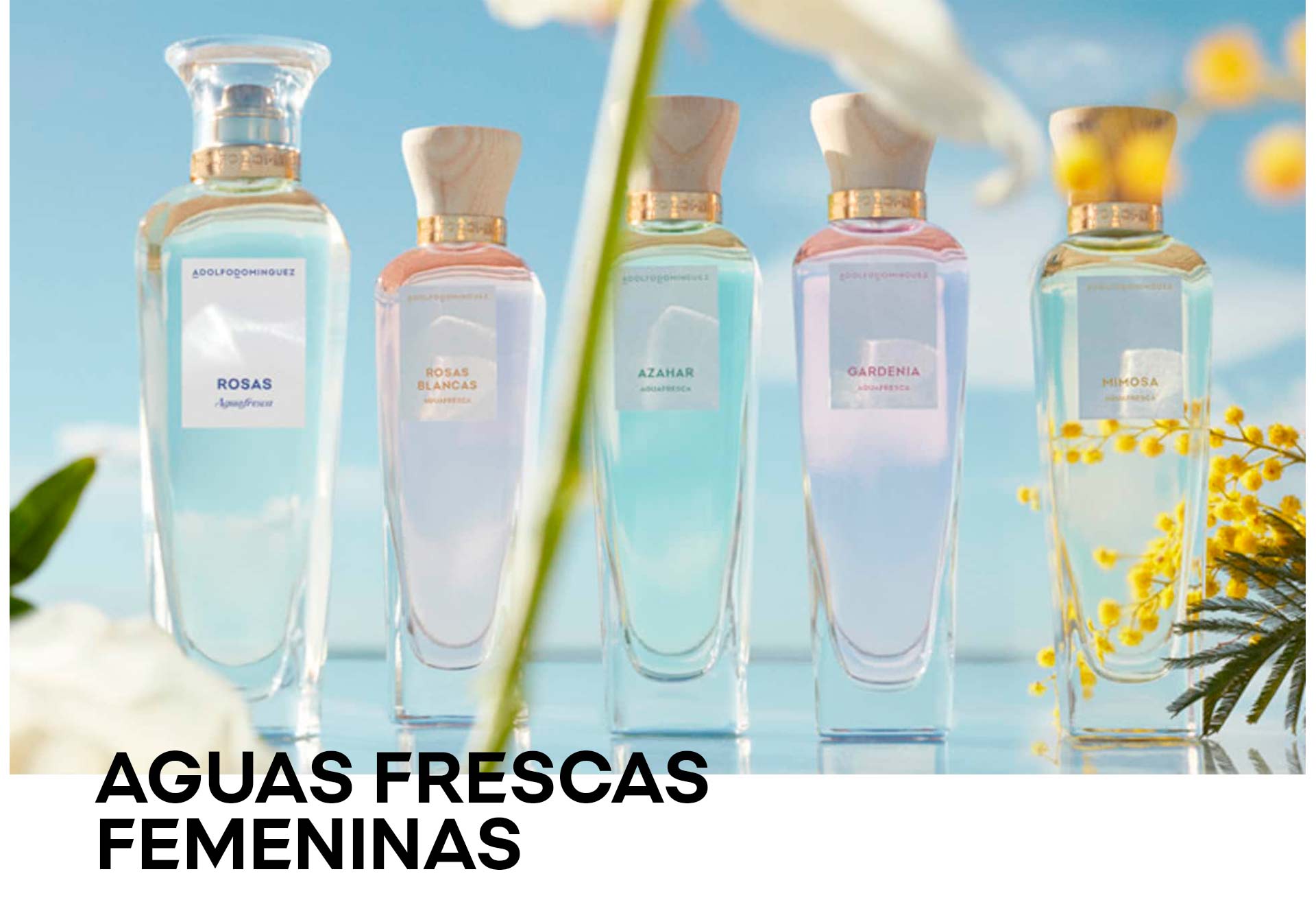 Adolfo Domínguez perfumes y colonias | Perfumerías Coqueteo